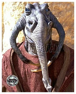 Scohontas | Wookieepedia | Fandom