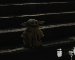 Chapter 24: The Return | Wookieepedia | Fandom