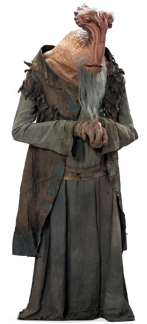 Ottegan | Wookieepedia | Fandom