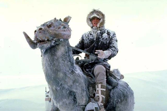 Murra | Star Wars Wiki | Fandom