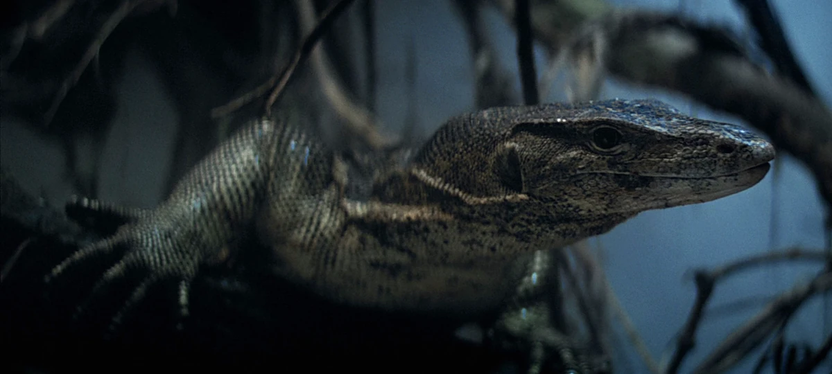Lizard | Wookieepedia | Fandom