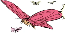 Antarean butterfly | Wookieepedia | Fandom