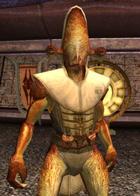 Elders (Rakatan) | Wookieepedia | Fandom