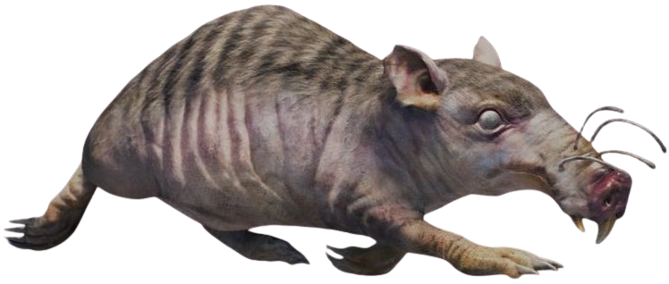 Yubesho rat | Wookieepedia | Fandom