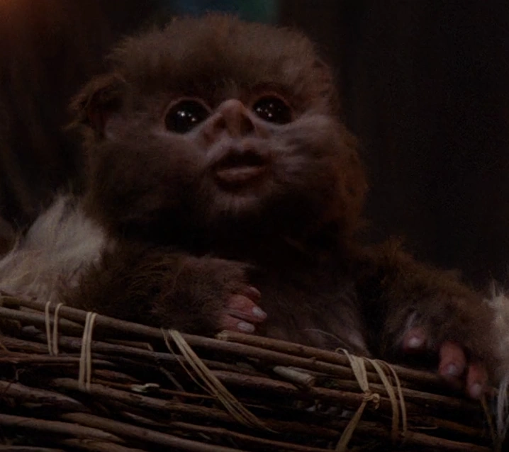 Nippet | Wookieepedia | Fandom