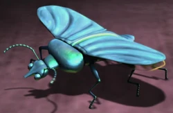 Slug-Beetle | Star Wars Wiki | Fandom