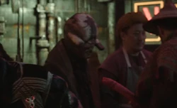 Unidentified species (Daiyu) | Wookieepedia | Fandom