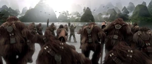 Wookiee warrior | Wookieepedia | Fandom