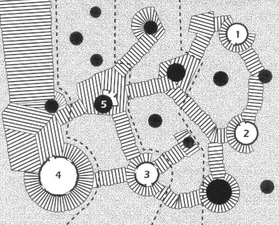 Unidentified Ewok village (Sector 5-7) | Wookieepedia | Fandom