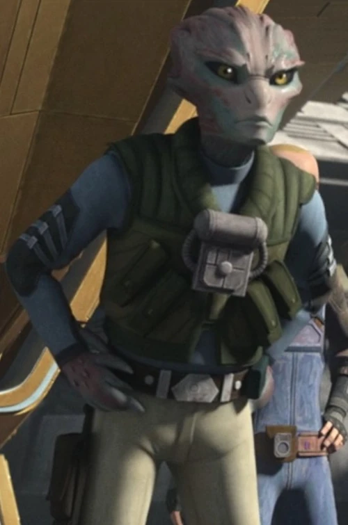 Unidentified species (Corvus) | Wookieepedia | Fandom