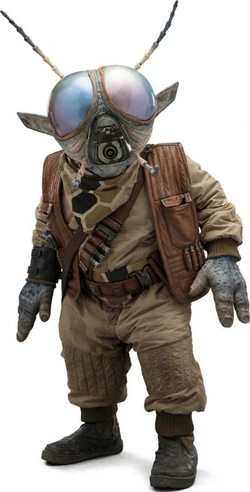 Wizzich Mozzer | Star Wars Wiki | Fandom