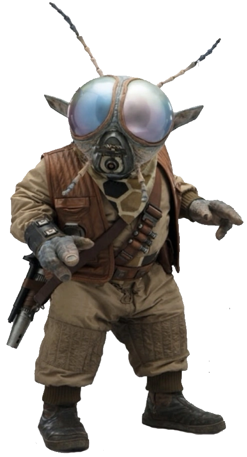 Wizzich Mozzer | Wookieepedia | Fandom