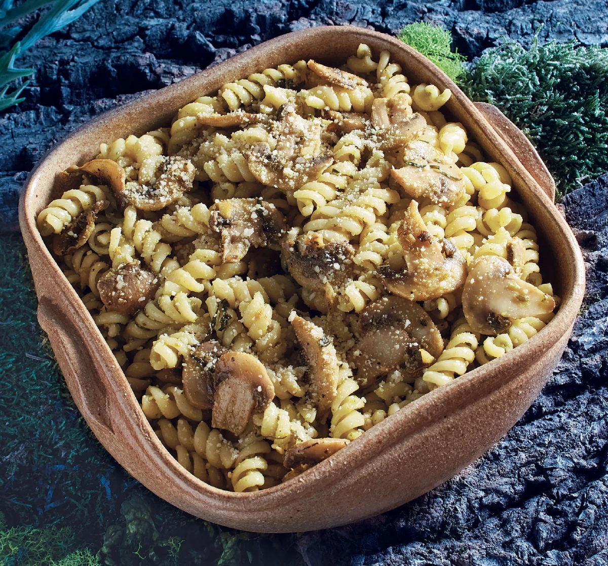 Shag Pabol Pasta | Wookieepedia | Fandom