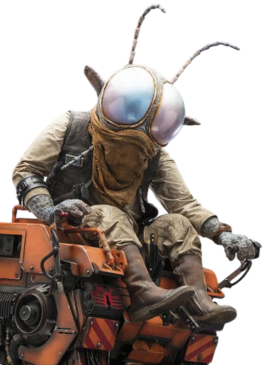 Vazzet Dipterz | Wookieepedia | Fandom