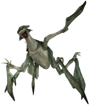 acklay star wars size