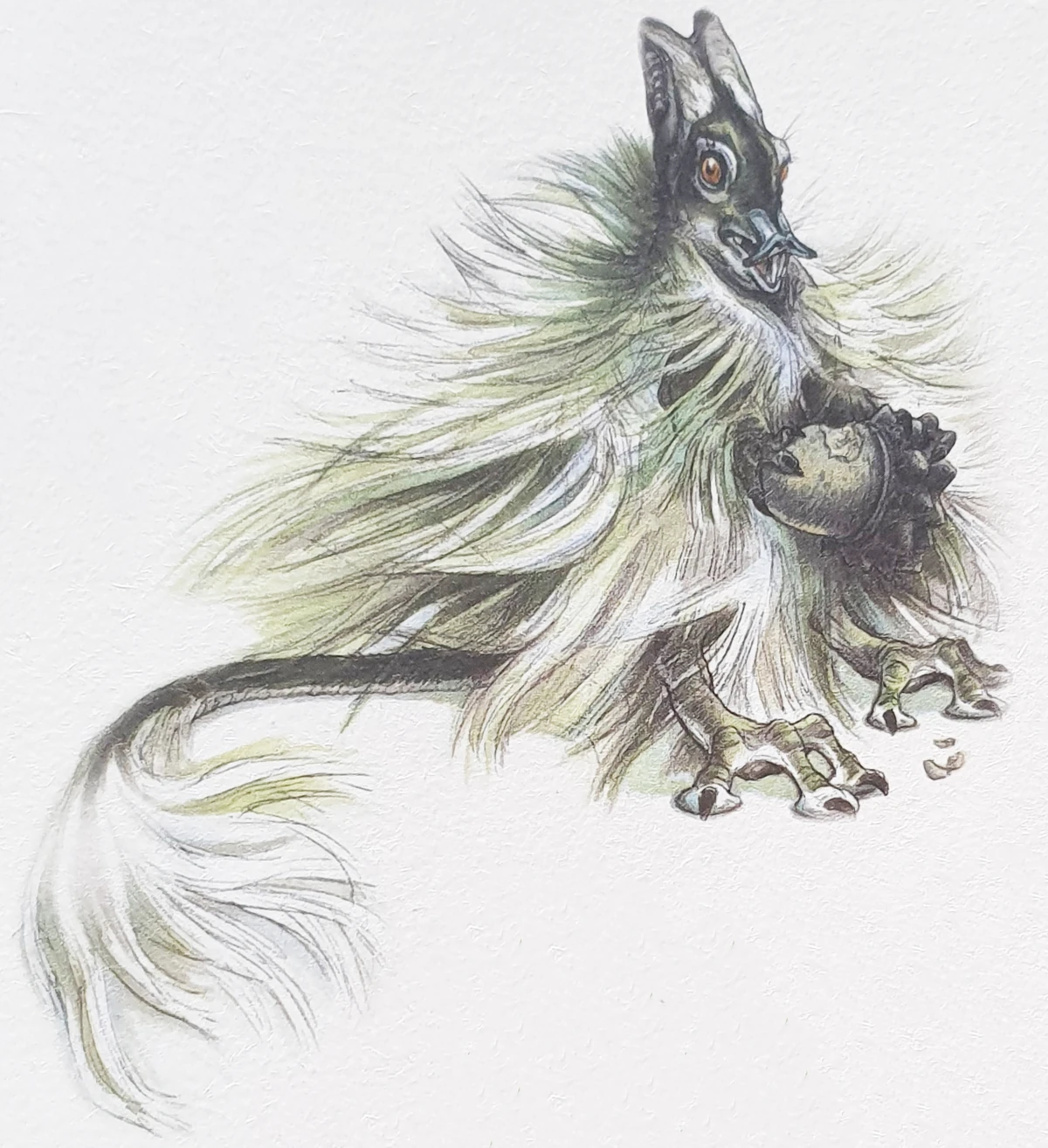 Rugger | Wookieepedia | Fandom