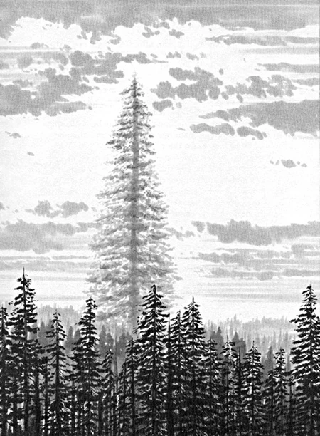 Father Tree | Wookieepedia | Fandom