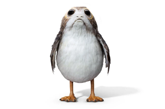 Porg | Star Wars Wiki | Fandom