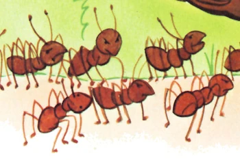 Endorian ant | Wookieepedia | Fandom