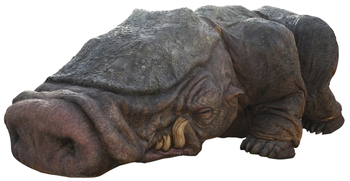 Happabore | Wookieepedia | Fandom