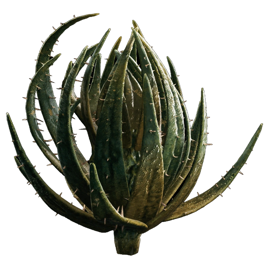 Cactus ball | Wookieepedia | Fandom