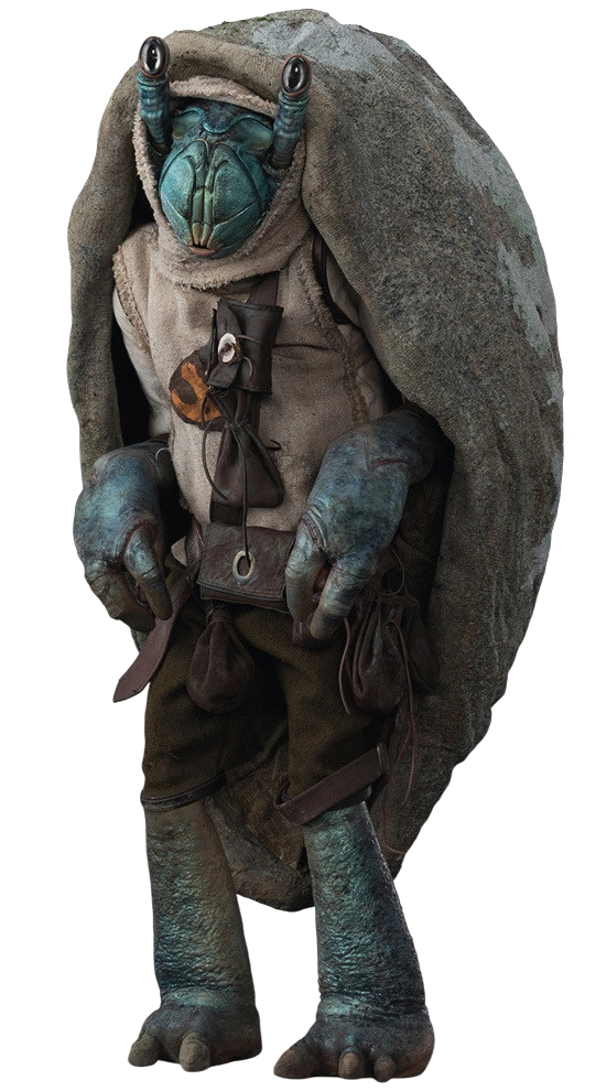 Noti | Wookieepedia | Fandom