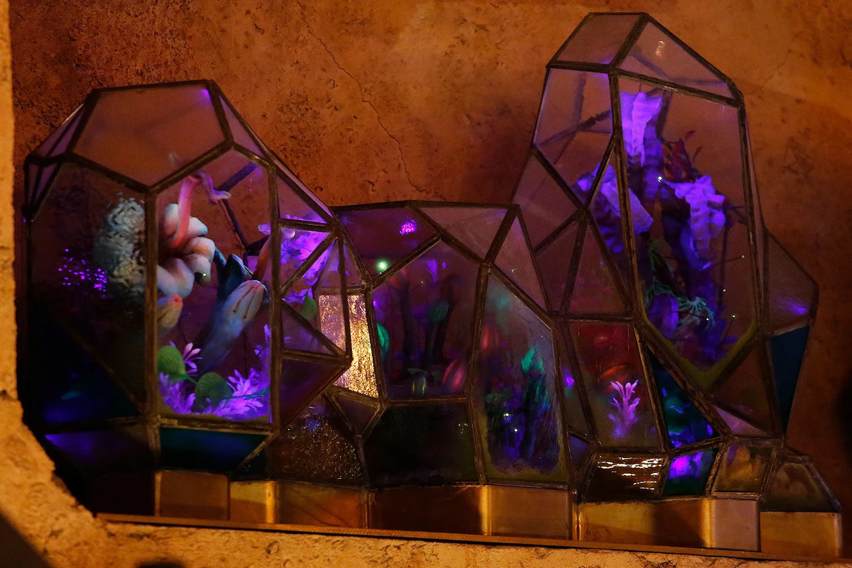 Felucian firefly | Wookieepedia | Fandom