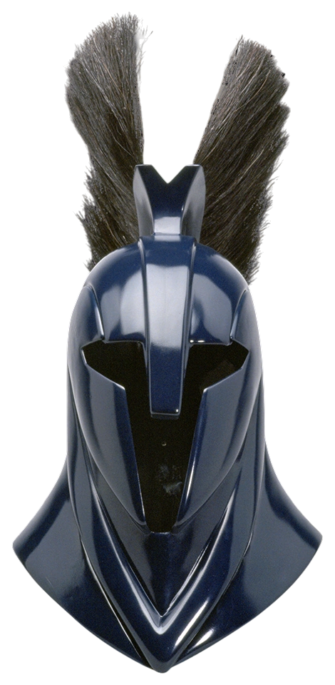 Star Wars Senate Guard Costume