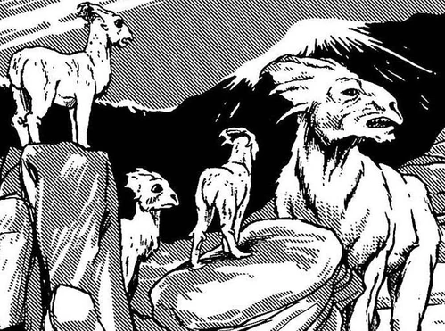 Wild | Wookieepedia | Fandom