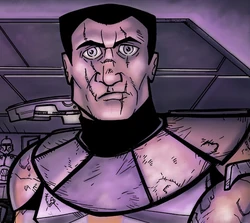 Kite | Star Wars Wiki | Fandom