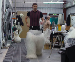 Moroff | Wookieepedia | Fandom