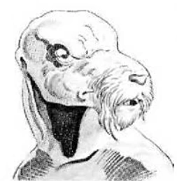 Karak | Wookieepedia | Fandom