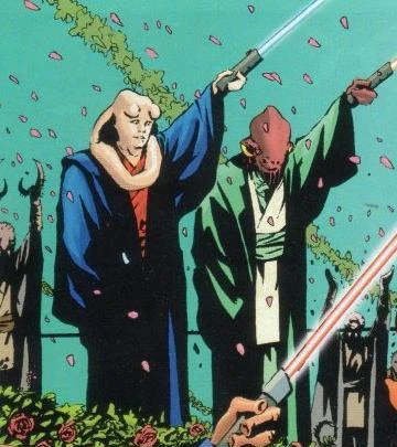 Unidentified Twi'lek Jedi (New Jedi Order) | Wookieepedia | Fandom