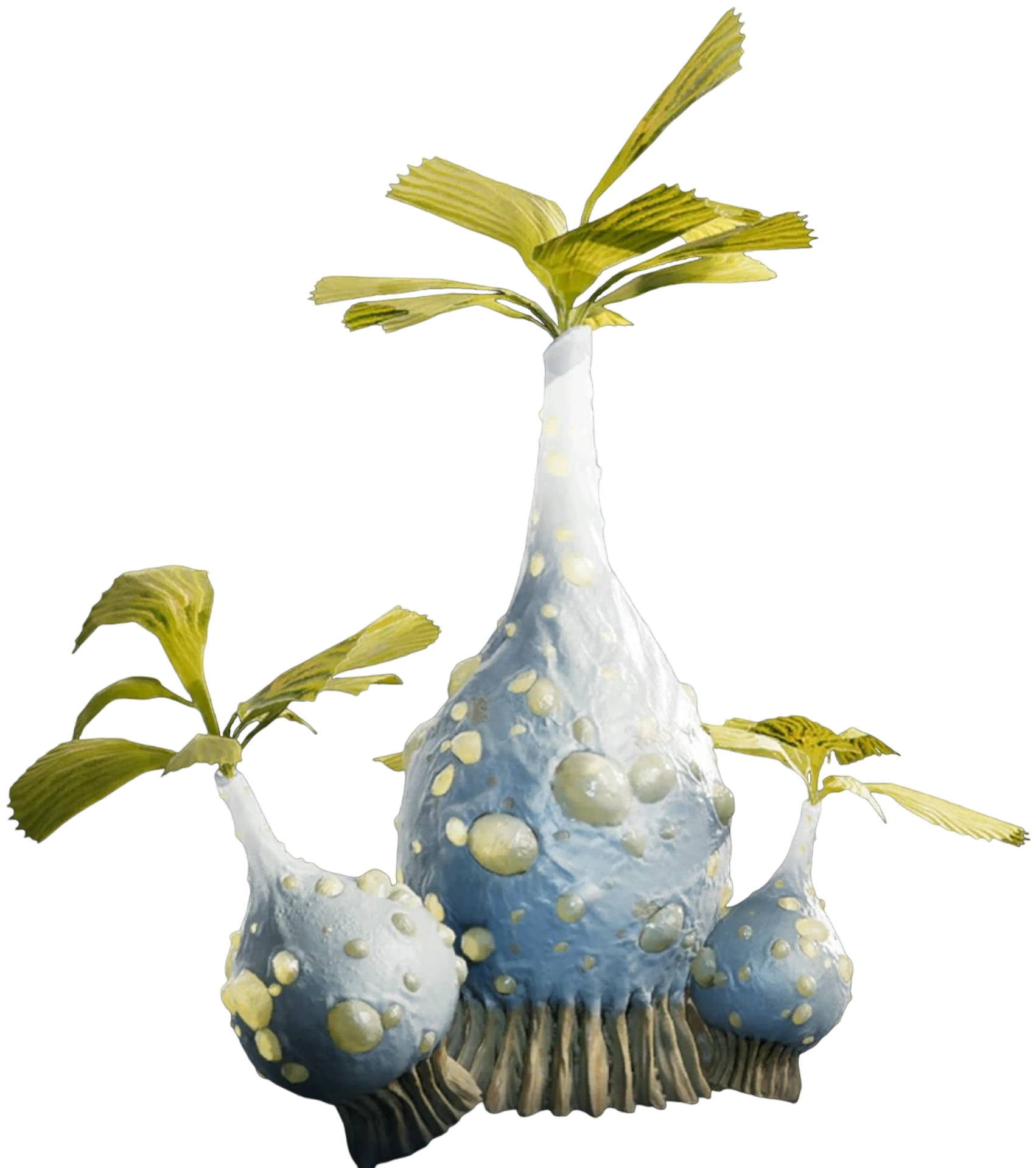 Palm fruit shell | Wookieepedia | Fandom