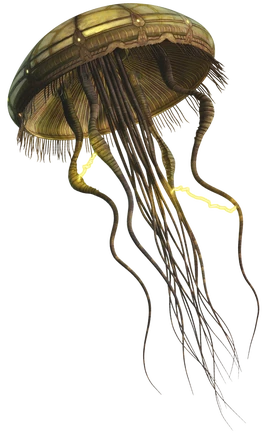 Hydroid Medusa | Wookieepedia | Fandom