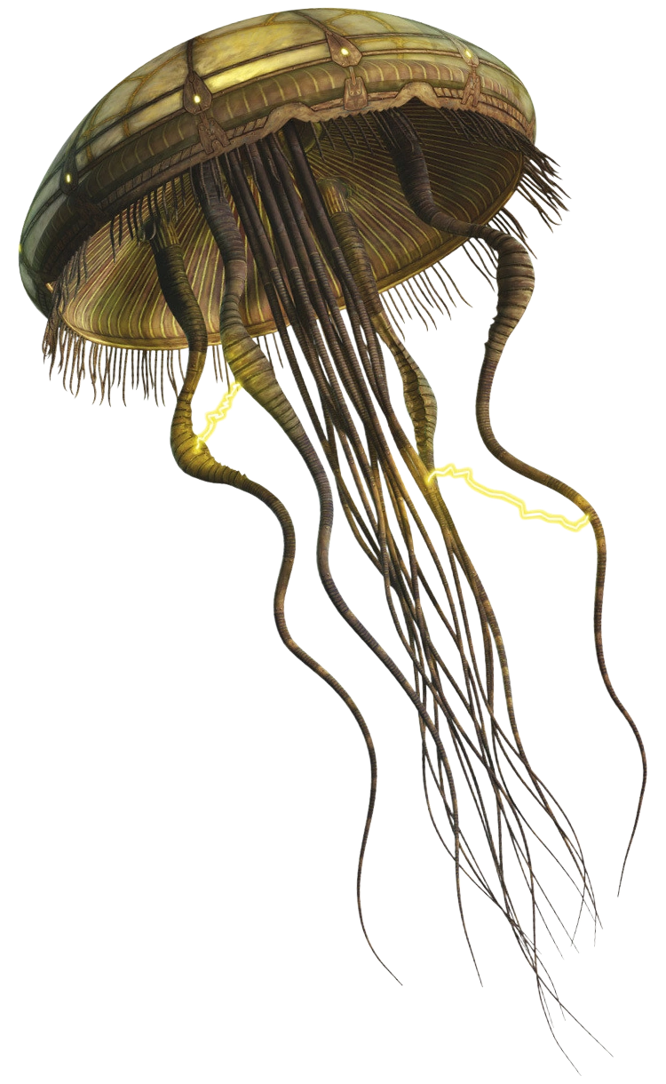 Hydroid Medusa | Wookieepedia | Fandom