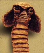 Galerij van Species R | Star Wars Wiki | Fandom