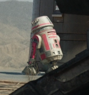 R5-D5 | Wookieepedia | Fandom