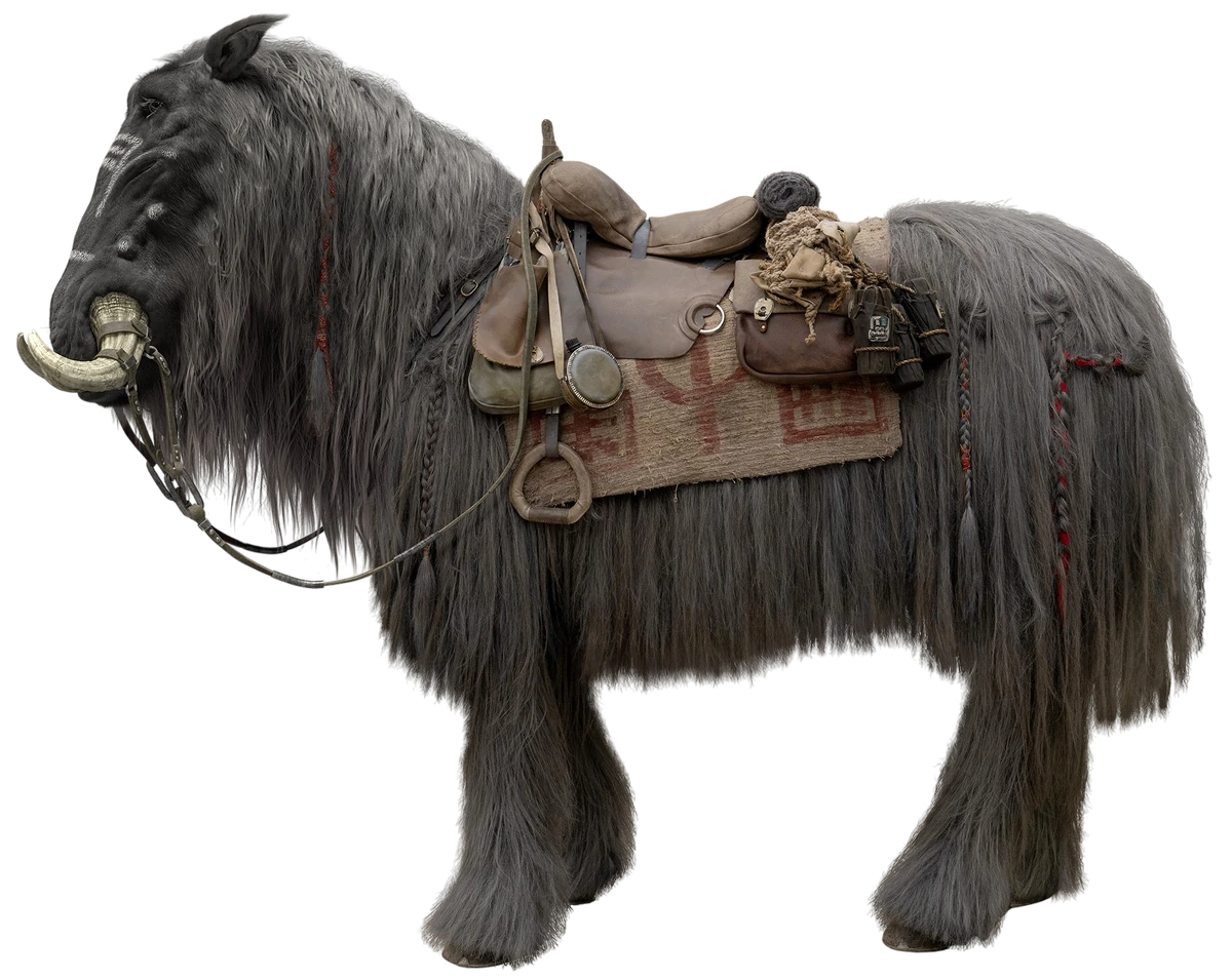Horse | Wookieepedia | Fandom