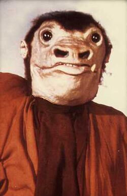 Takeel | Star Wars Wiki | Fandom