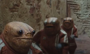 Dwuni | Wookieepedia | Fandom