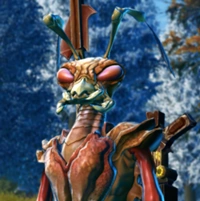 Killik | Jawapedia | Fandom