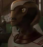Galerij van Species L | Star Wars Wiki | Fandom