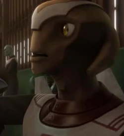 By Bluss | Star Wars Wiki | Fandom