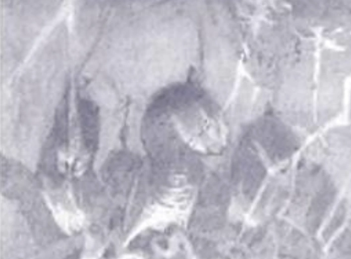 Salamander Warriors | Wookieepedia | Fandom