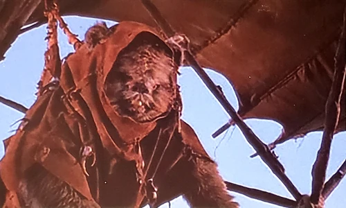 Deej | Wookieepedia | Fandom