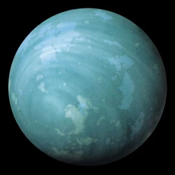 Kintan | Star Wars Wiki | Fandom