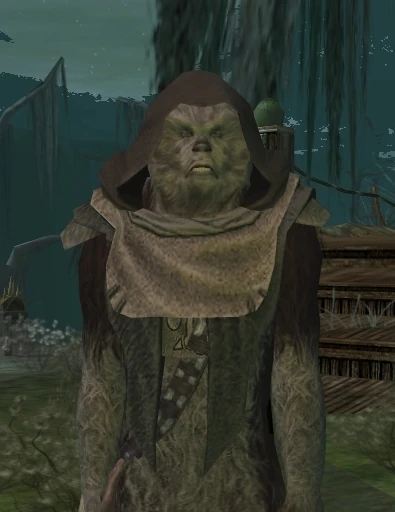 Spirit Guide | Wookieepedia | Fandom