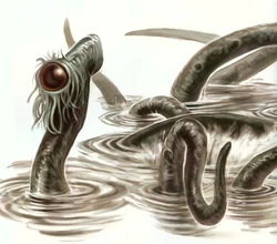 Dianoga | Star Wars Wiki | Fandom