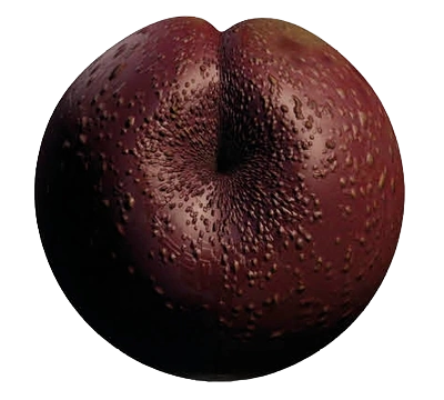 Plum | Wookieepedia | Fandom